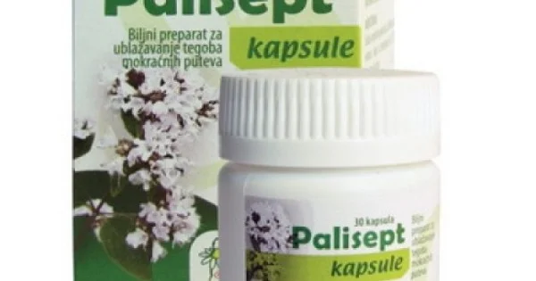 PALISEPT KAPSULE | Apoteka Online Premium